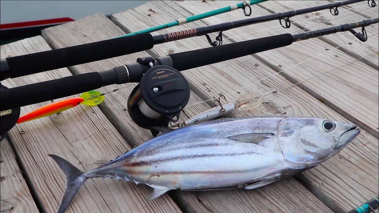 Hunting Mackerel for Catch and Cook | Jamaica Vlog - YouTube