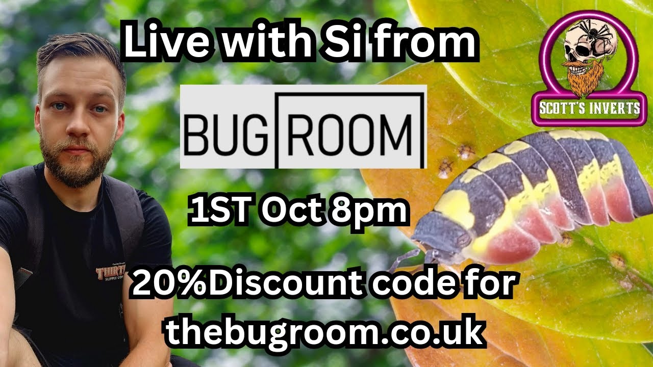 LIVE WITH THE BUG ROOM - YouTube