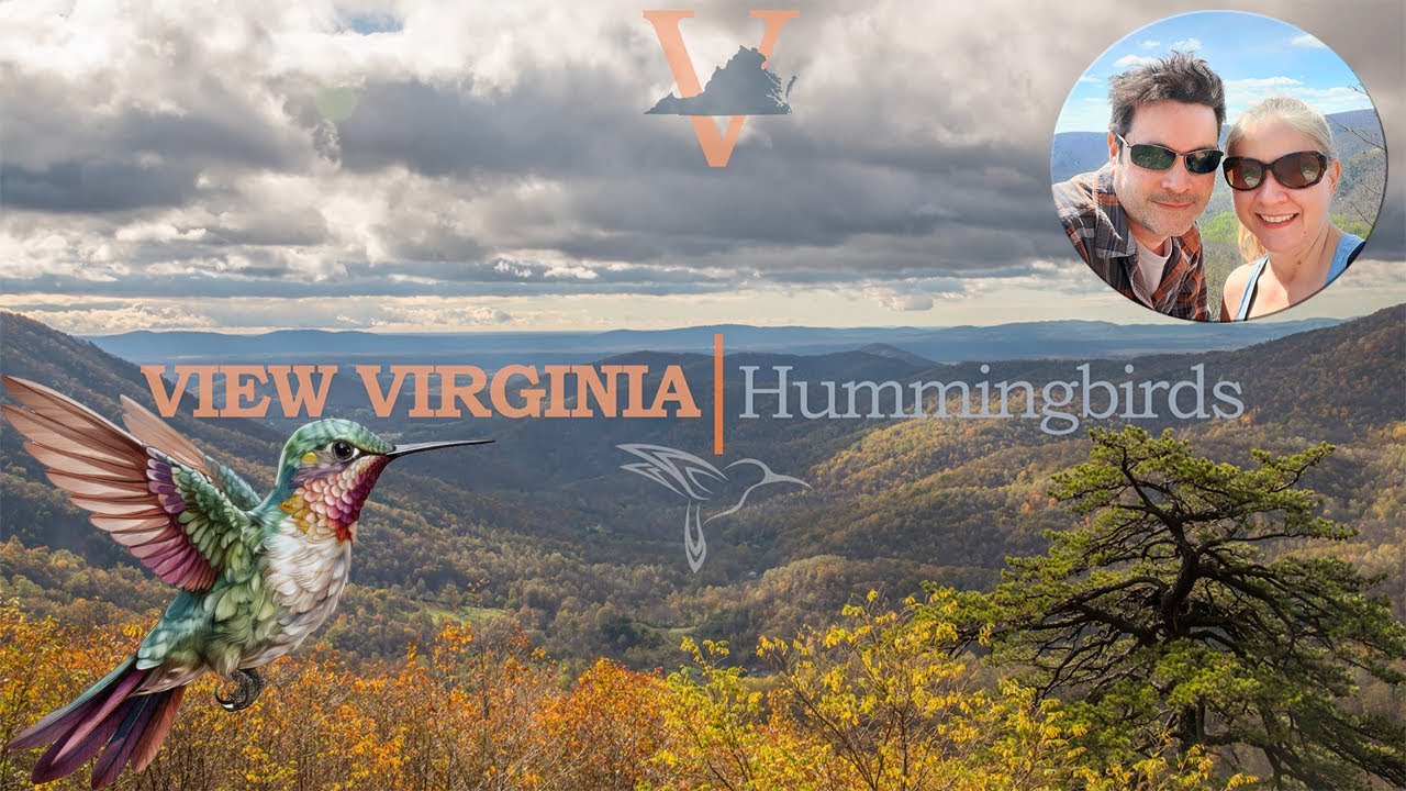 View Virginia - Hummingbirds: Beauty in Flight with Scenic Views and ...