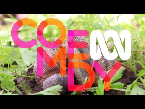ABC Comedy Ident: Snails (2018) - YouTube