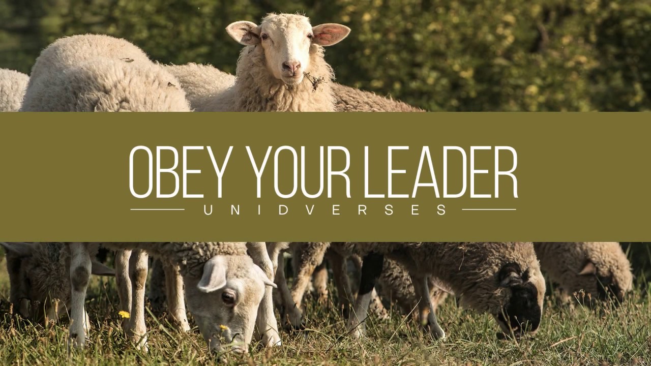 Obey Your Leader | UNIDVERSES - YouTube