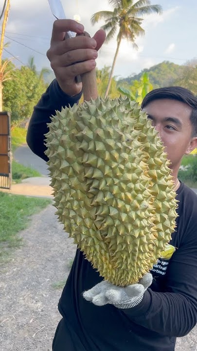 Durian montong jumbo berat 9 kilo 🤤 - YouTube