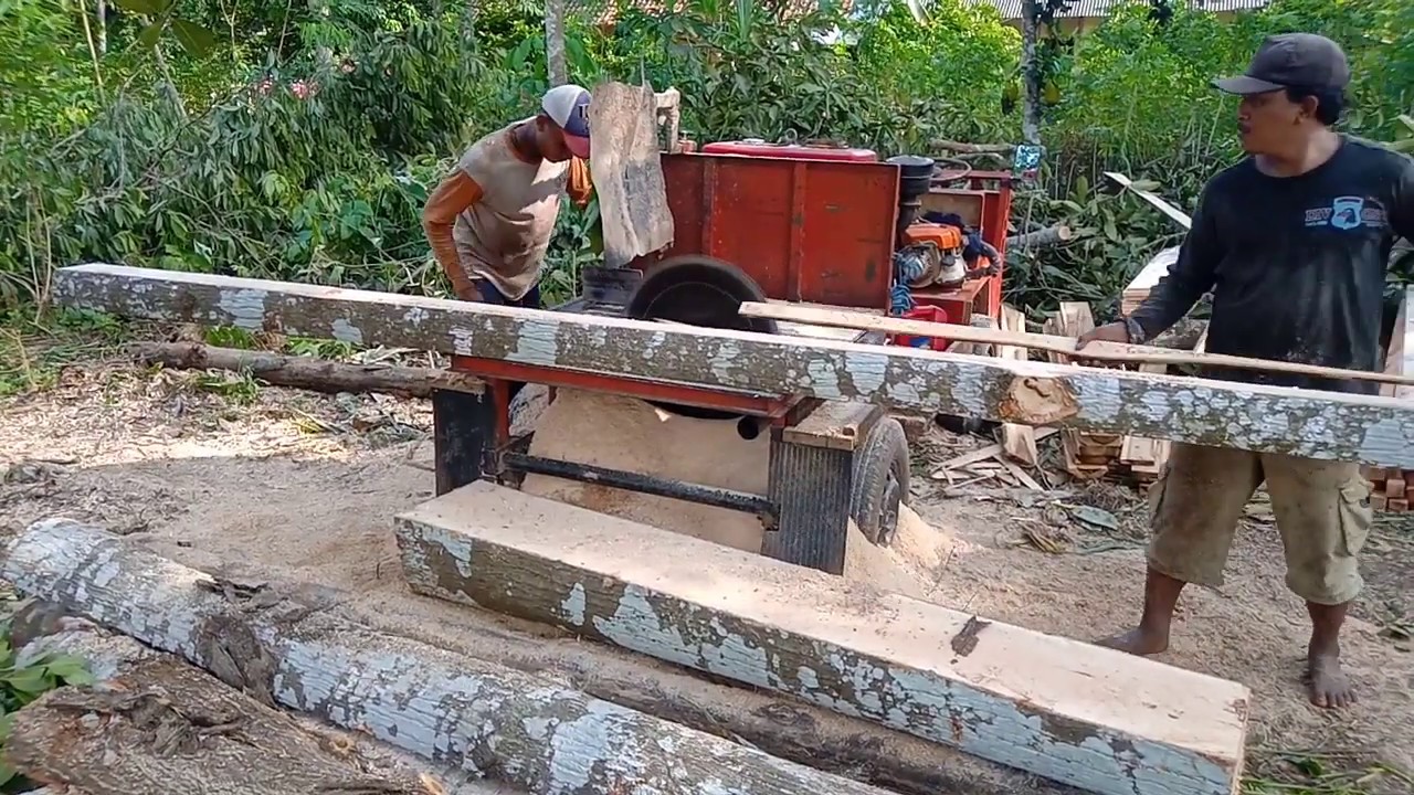 Melihat Proses Menggergaji Kayu dengan Mesin Serkel Mobil | Wood ...