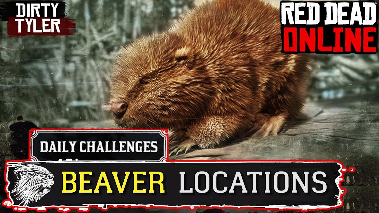 Beaver RDR2 Locations Red Dead Online Daily Challenges - YouTube