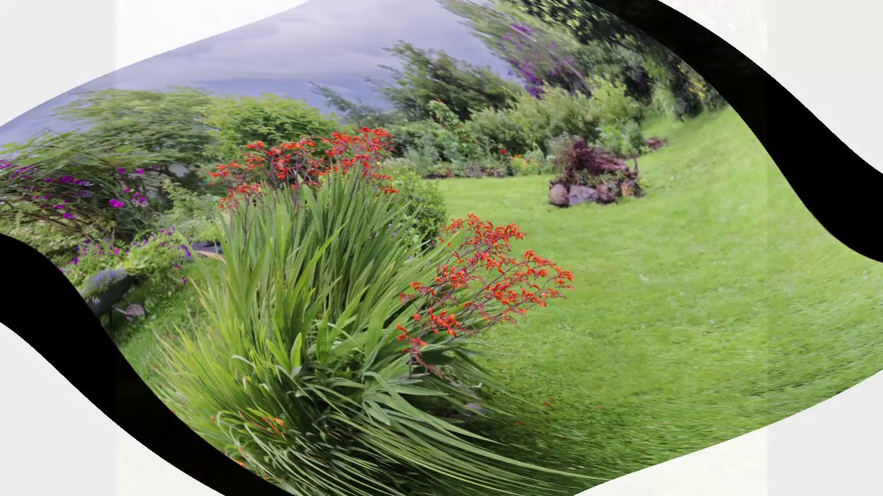 My People by Noel Lyons - YouTube
