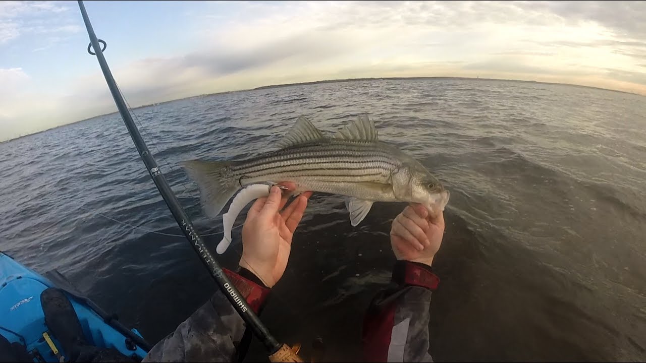 Early Spring Striper Trolling - YouTube