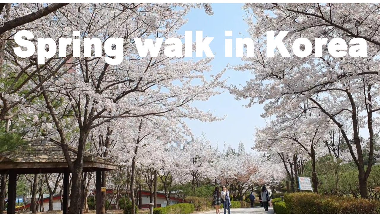 Spring walk in Korea | 한국의 봄산책 | Korea Tour | Seoul Tour | Shopping ...