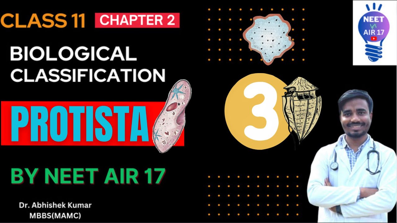 Kingdom PROTISTA for NEET| Biological classification | chapter 2 class ...