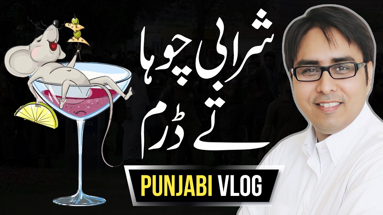 Drunken Rat & Wine Drum شرابی چوہا اور ڈرم Punjabi Vlog SHAHBAZ Gill ...
