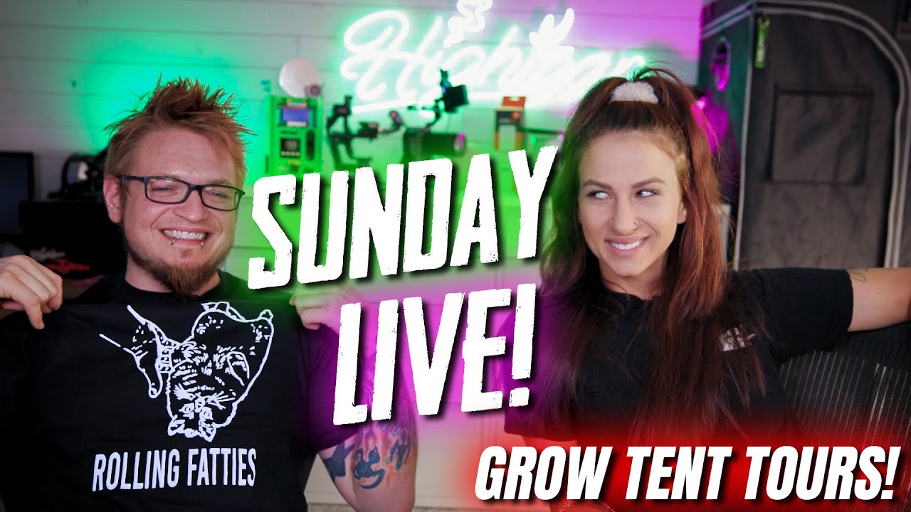 Tent Tours! Gettin' Highigan Sunday Live! - YouTube