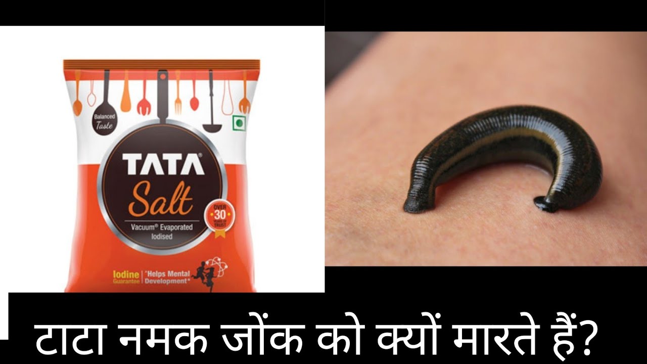 amazing fact about leech and why leech kill Salt #shorts #facts - YouTube