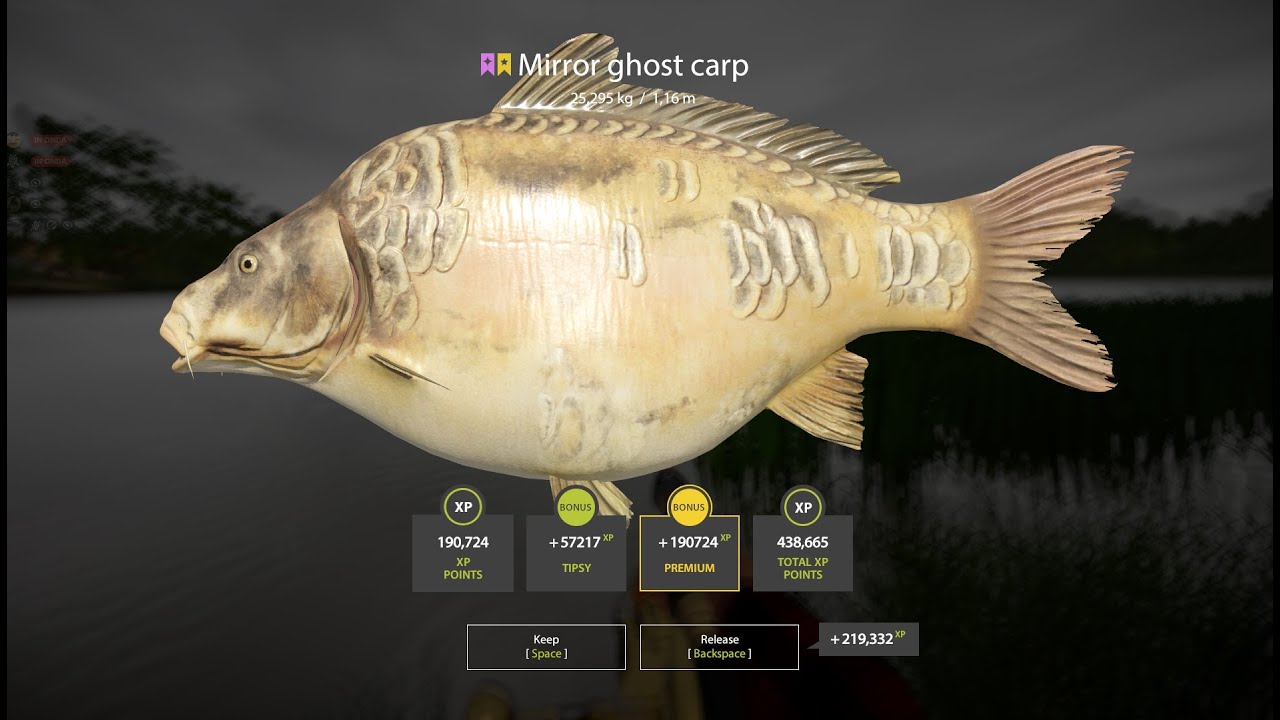 The Amber Lake spot, Mirror Ghost Carp ( Special Carp Spot ) - #22 - Russian Fishing 4 / RF4 ...
