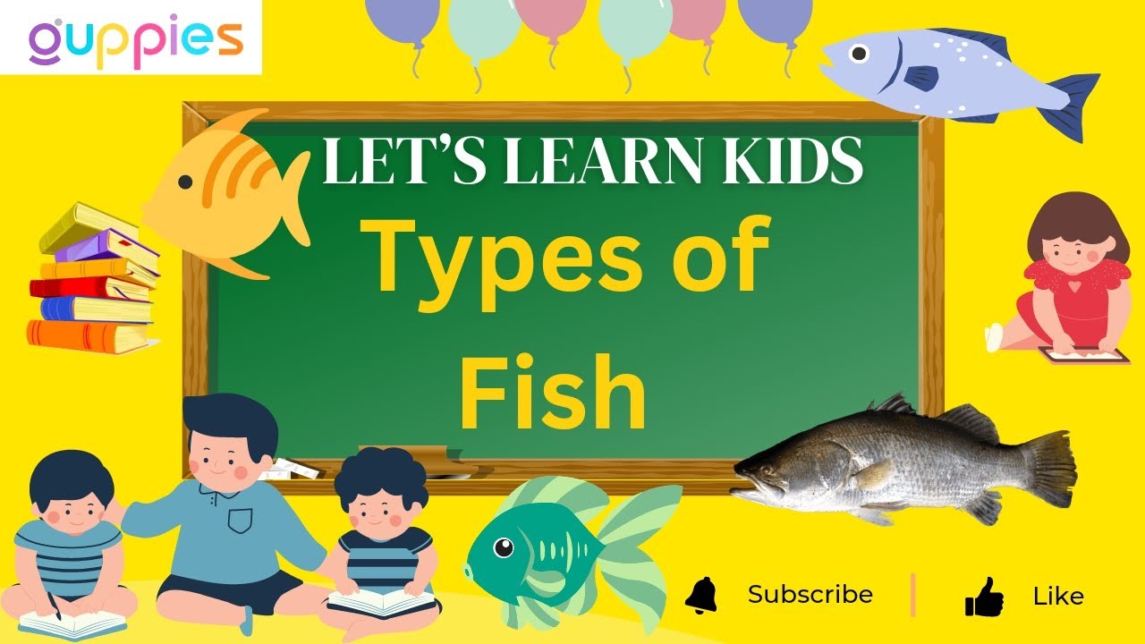 types of fish for kids | types of fish for kids in english - YouTube