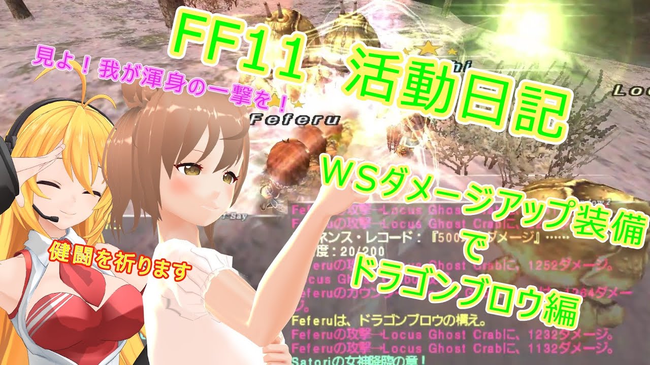 【FF11】 活動日記 WSダメージアップ装備でドラゴンブロウ編 - YouTube