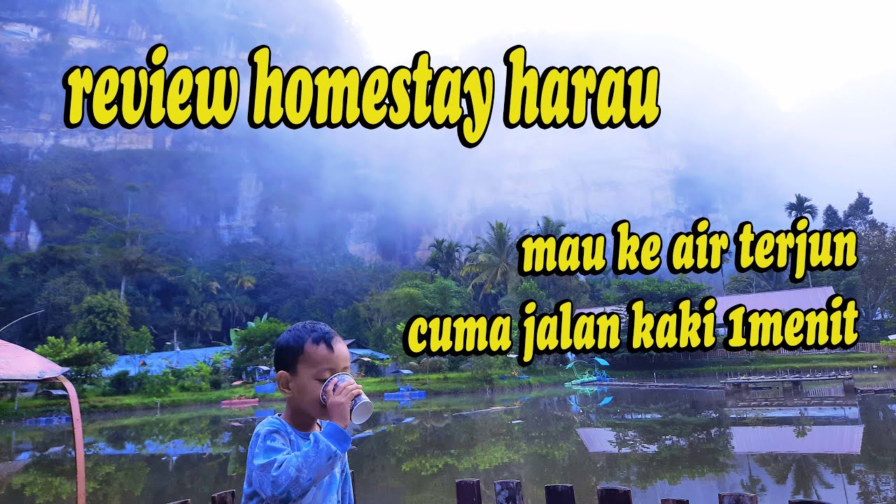 homestay harau payakumbuh - YouTube