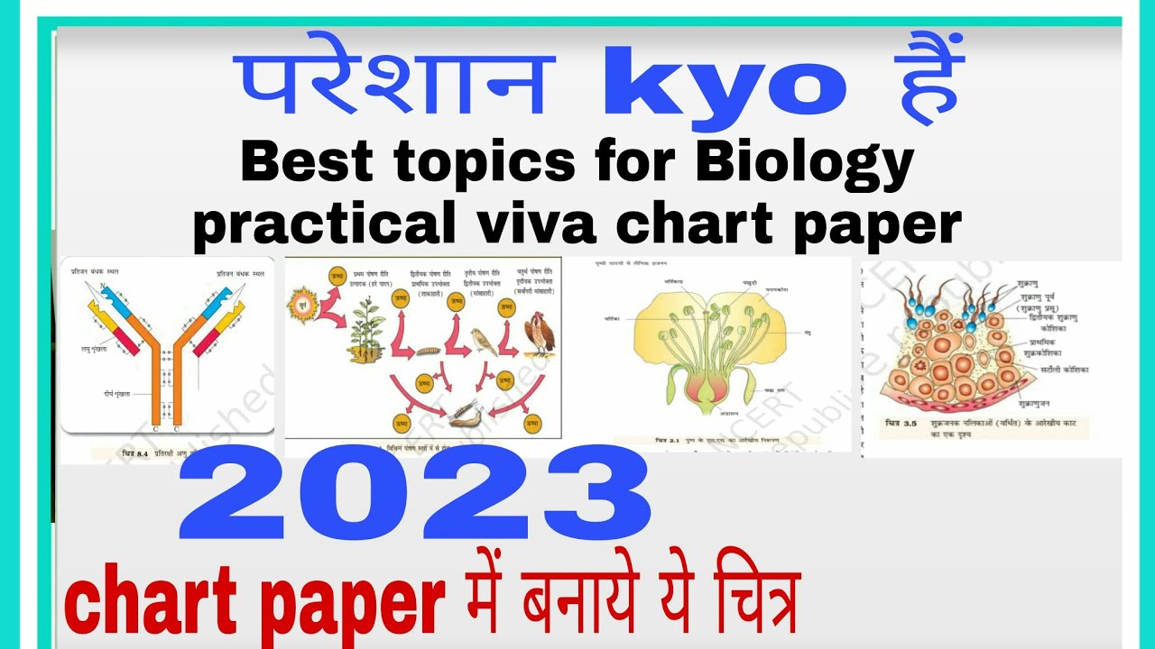class 12 Biology practical me chart paper me kya diagram banaye, best ...