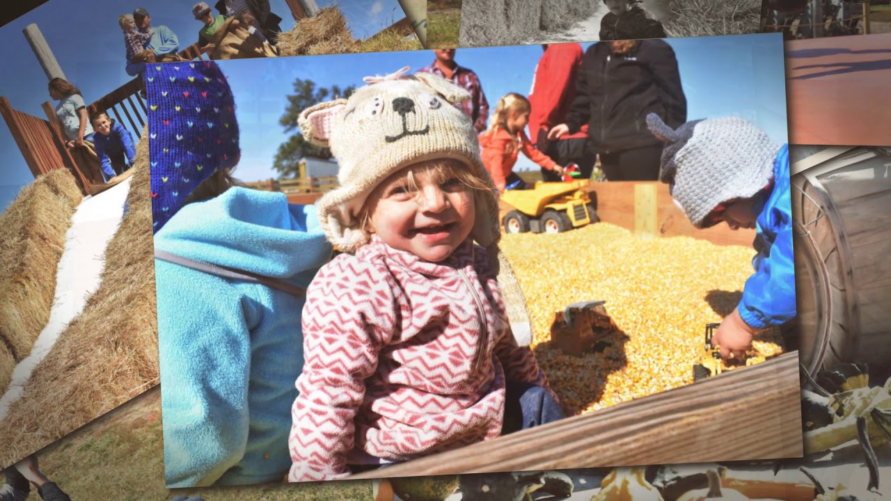 Homestead Pumpkin Patch 2019 - YouTube