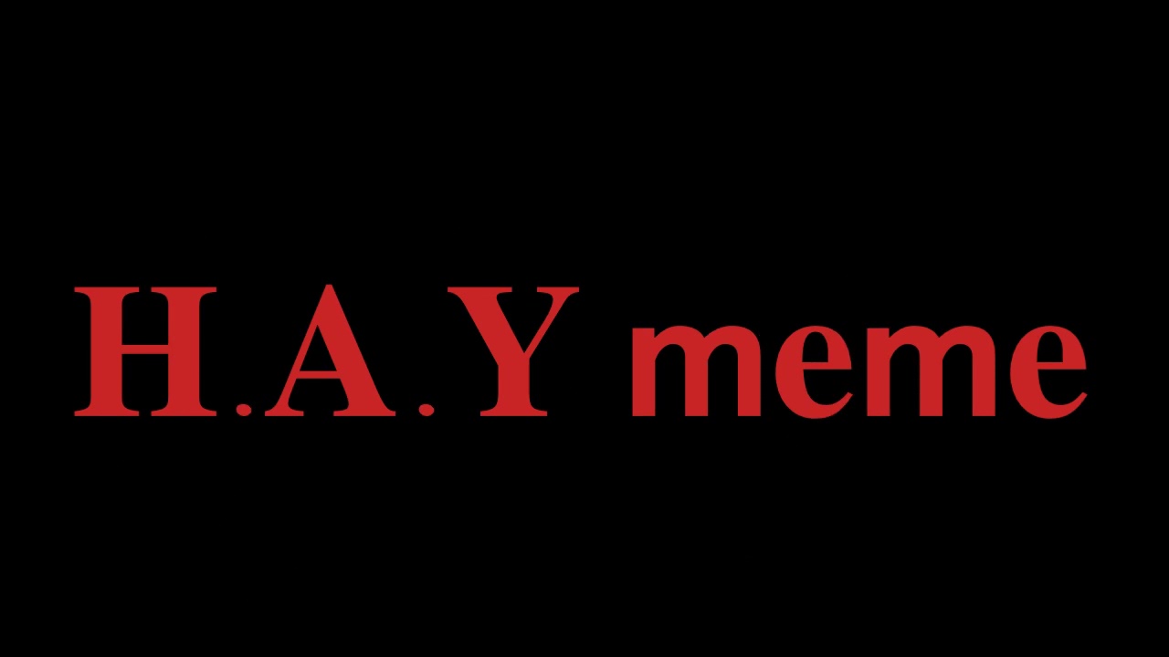 H.A.Y MEME ((read disc)) - YouTube