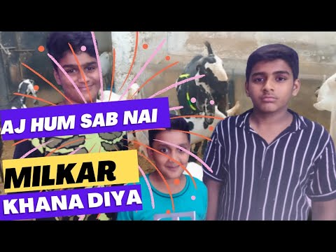 AJ Hum sab nai milkar janvaron ko khana Diya 🥰🥰 - YouTube
