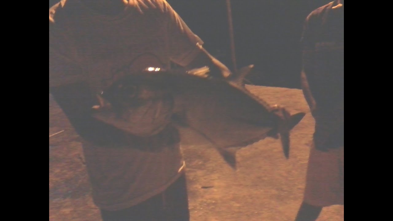Funny Fishing in Santander Cebu Philippines - MAN VS MAMSA FISH - YouTube