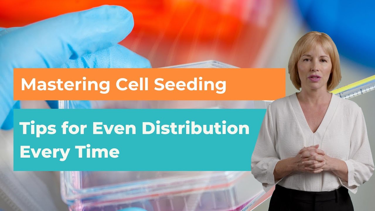 Mastering Cell Seeding | Tips for Even Distribution Every Time - YouTube