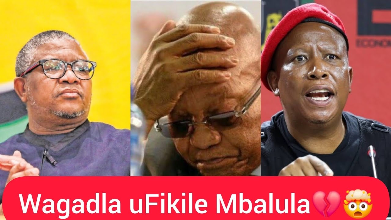uFikile Mbalula ugadle ngazo zonke kuMalema encoma imisebenzi yeGNU ...