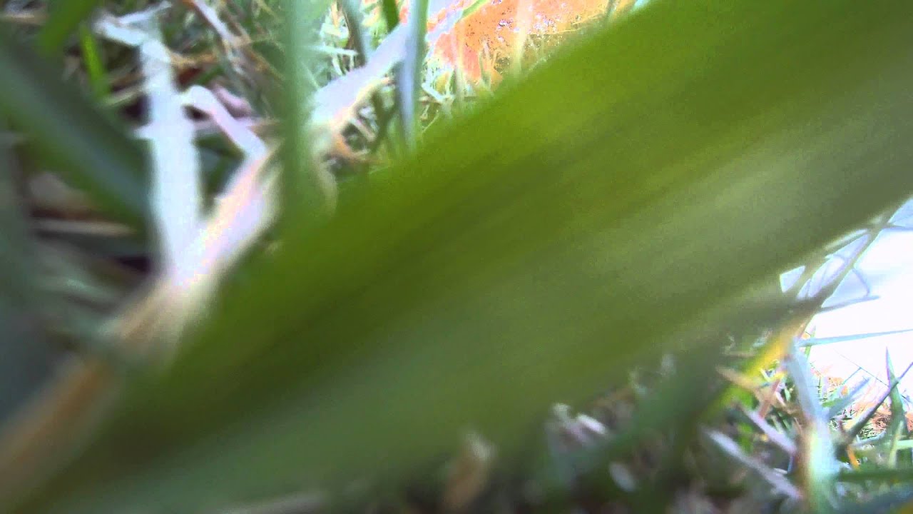 How to wreck your quad with style. - YouTube