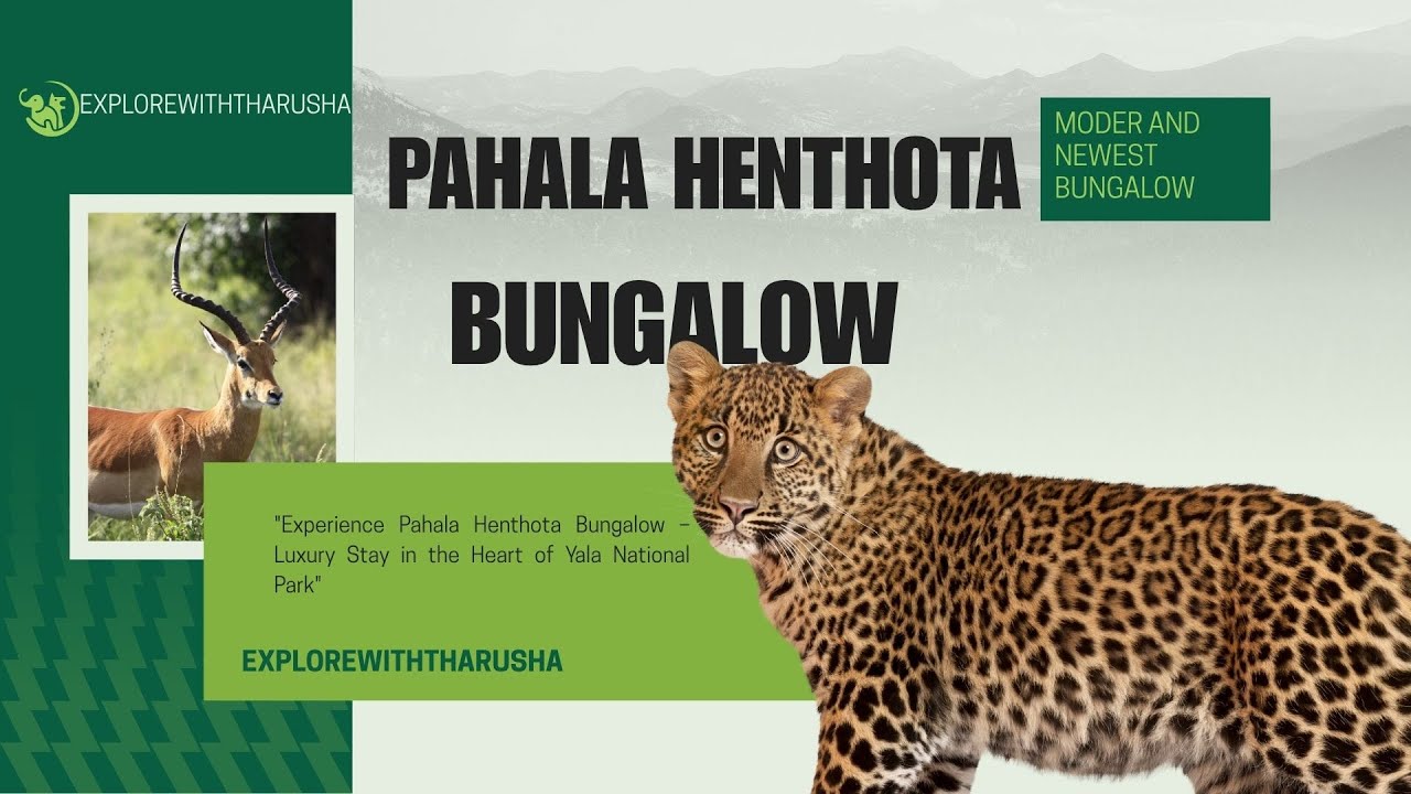 Pahala Henthota Bungalow | Yala National Park | Explore With tharusha - YouTube