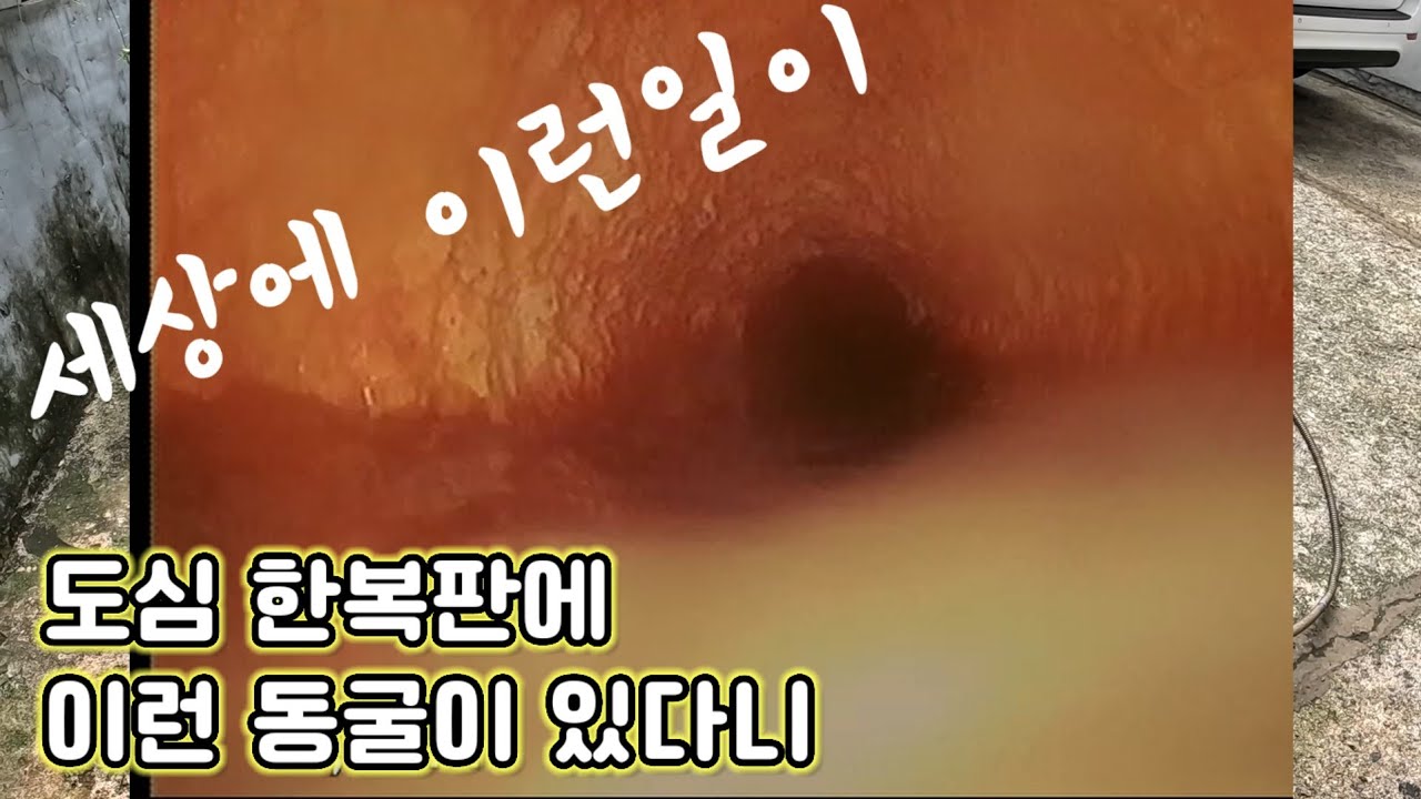 하수구 고압세척의 진가를 알아버린 족발 식당 Youtube