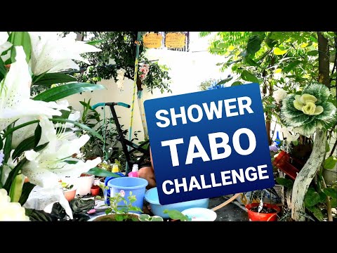 SHOWER TABO LIGO LABA CHALLENGE RAINWATER
