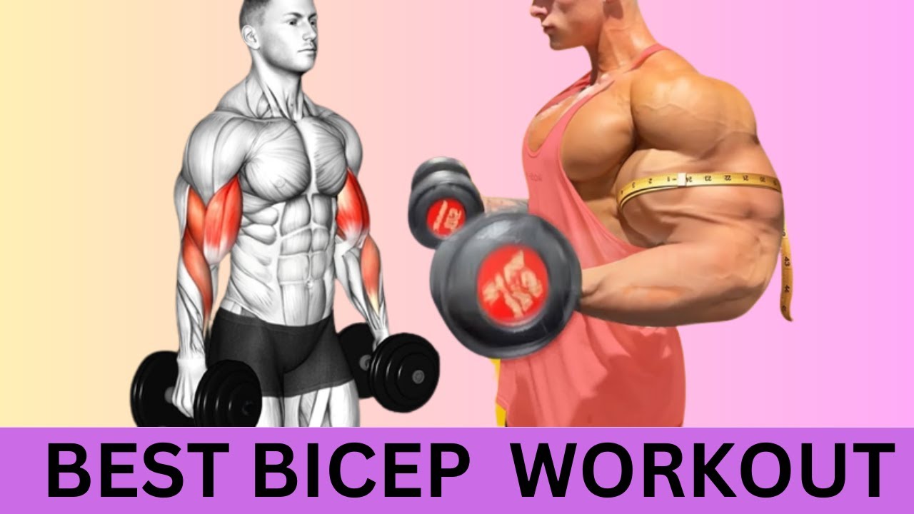 6 Best Exercises Bigger Biceps At Gym - Biceps Workout - YouTube