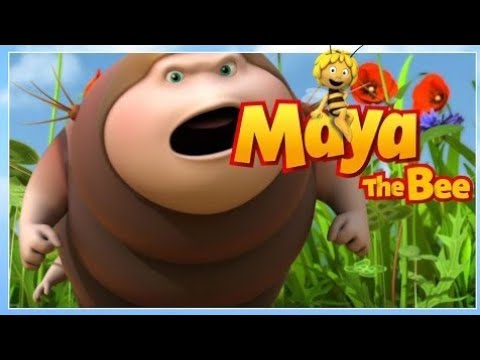 Arı Maya / Dön Tırtıl Dön / Çizgi Filmi