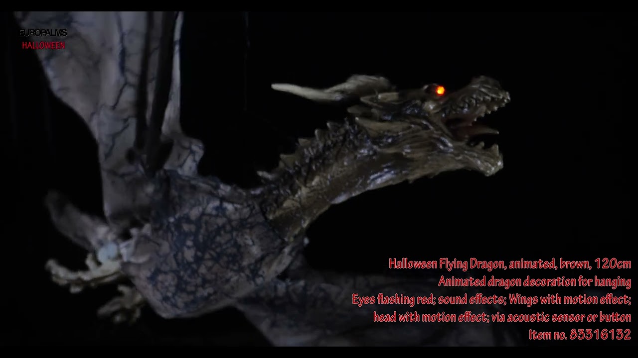 Animated Flying Dragons