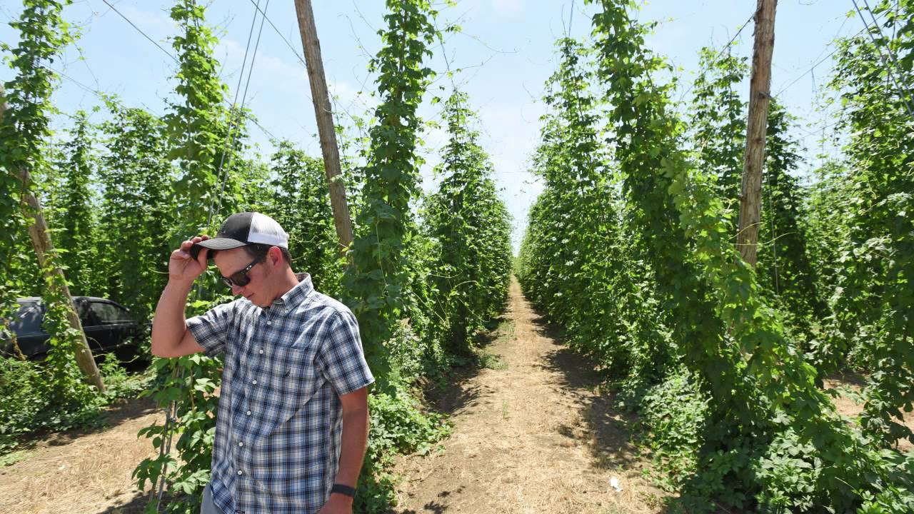 Jackson Hop Farm - YouTube