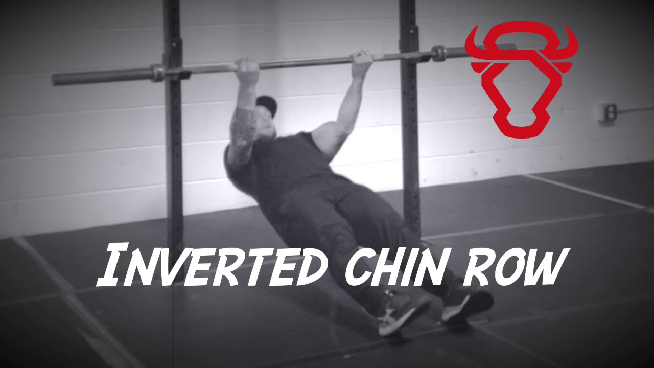 Inverted Chin Row - YouTube