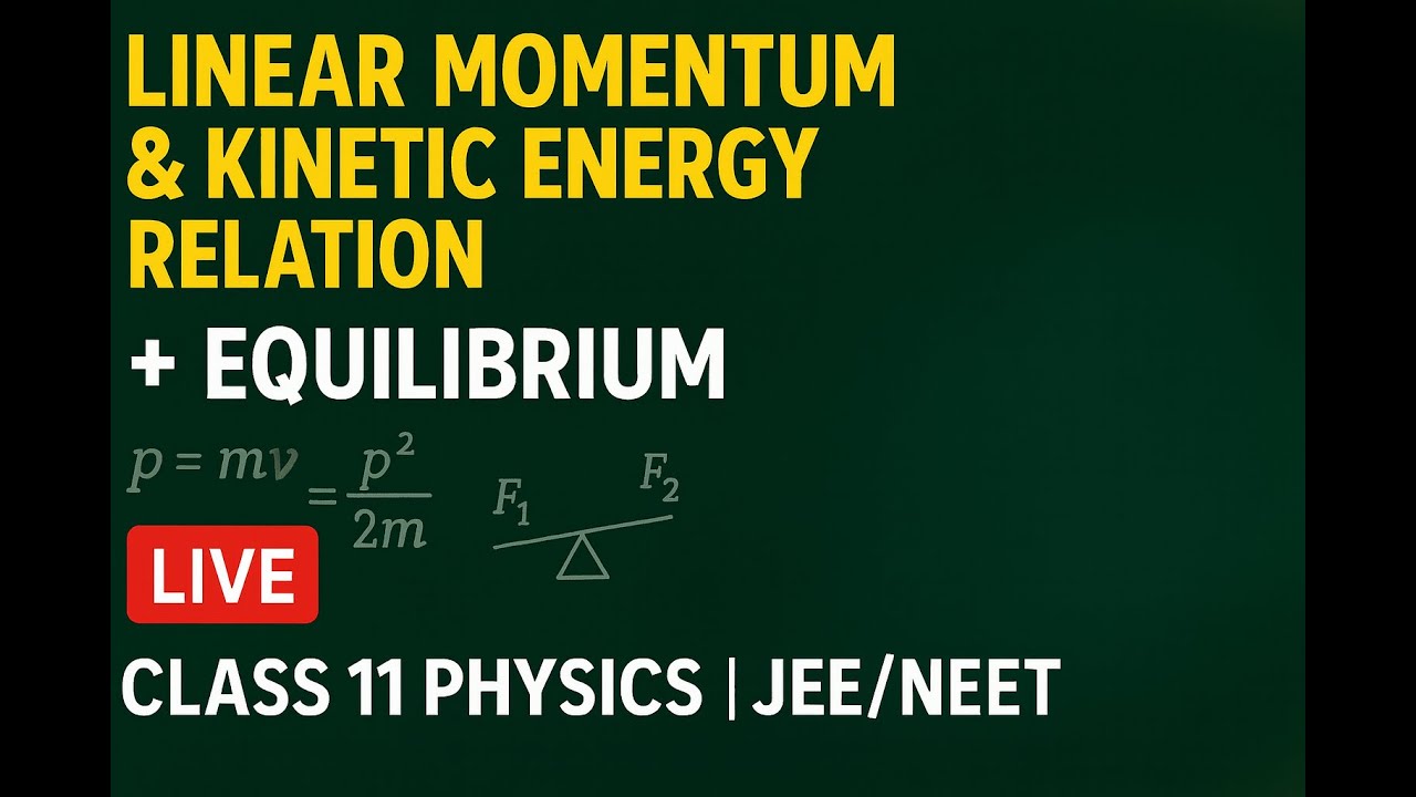 “Linear Momentum & Kinetic Energy Relation + Equilibrium | Class 11 ...