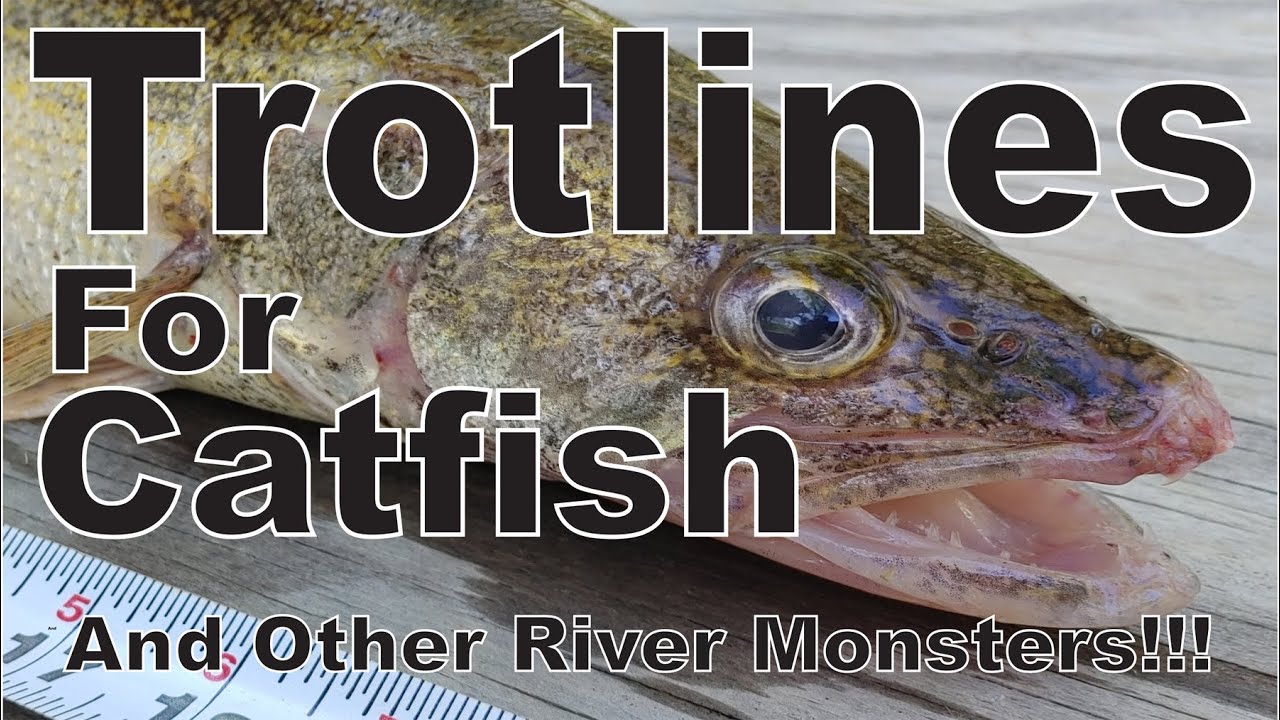 Trotlining for Catfish and Other River Monsters! - YouTube
