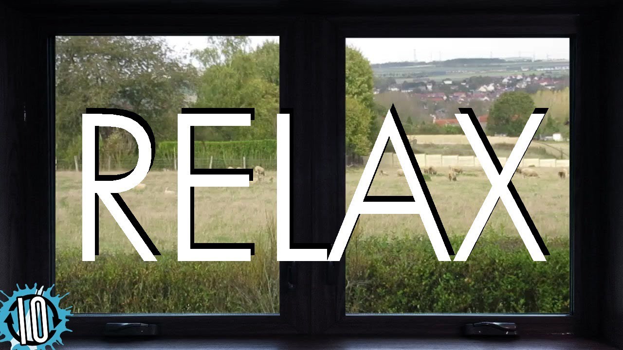 VIRTUAL WINDOW • 10 Hours of Peaceful Countryside With Nature Sounds ...