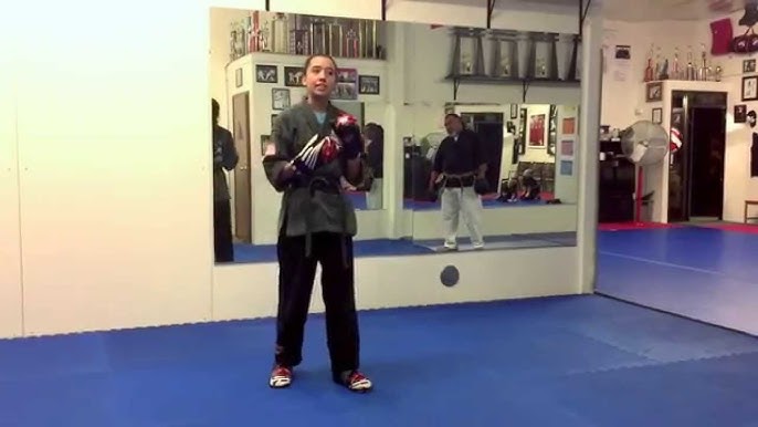 Kenpo Karate Techniques Akki Youtube