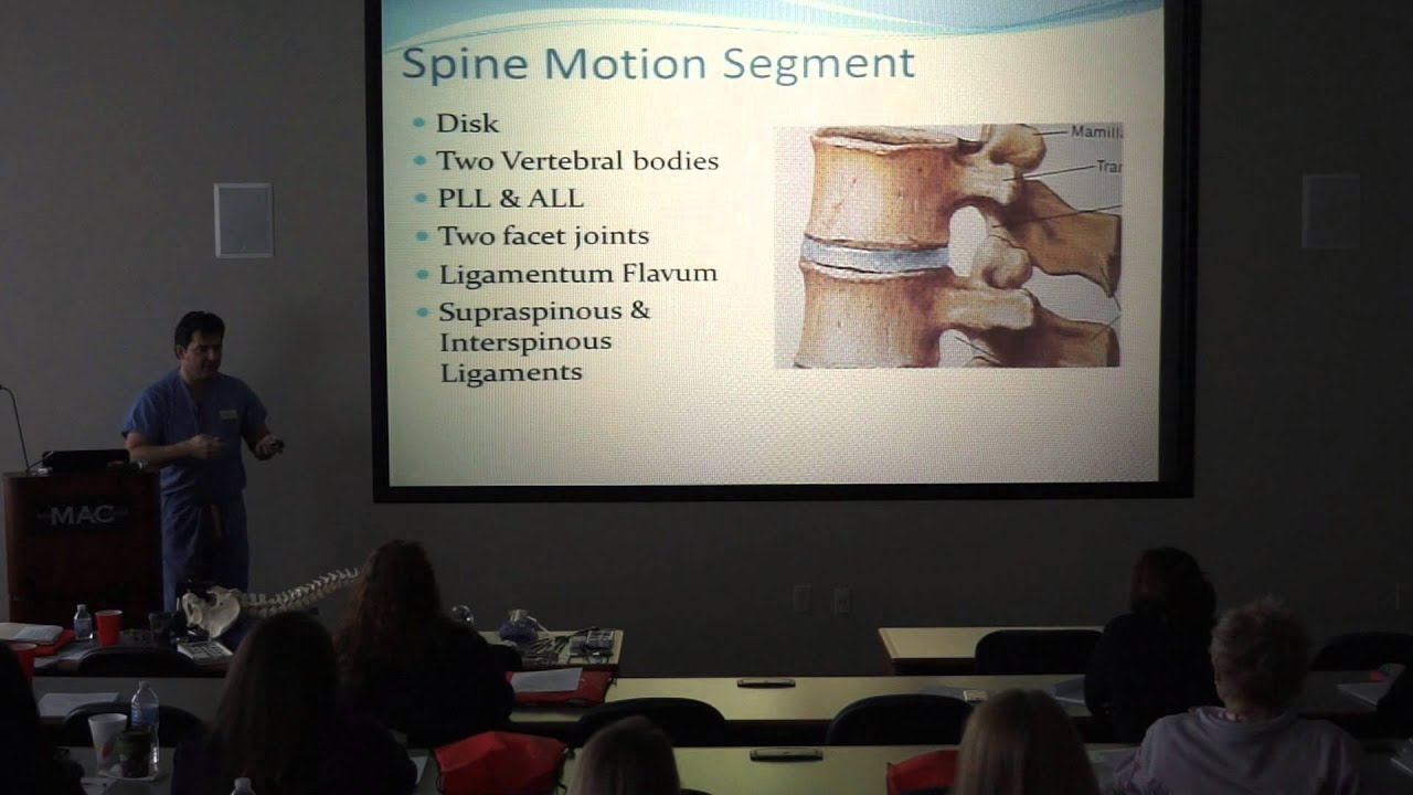 Dr Nenadovich explains spine segment vs. spine motion segment with ...