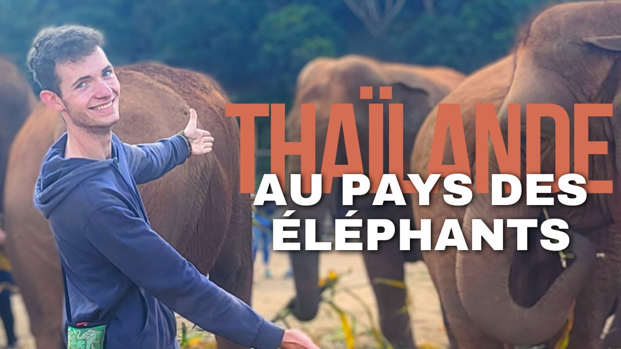 IMMERSION AU PAYS DES ÉLÉPHANTS - Film Complet - YouTube