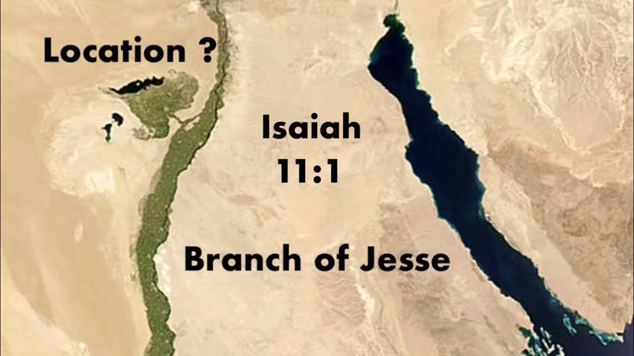 Branch of Jesse Located? - YouTube