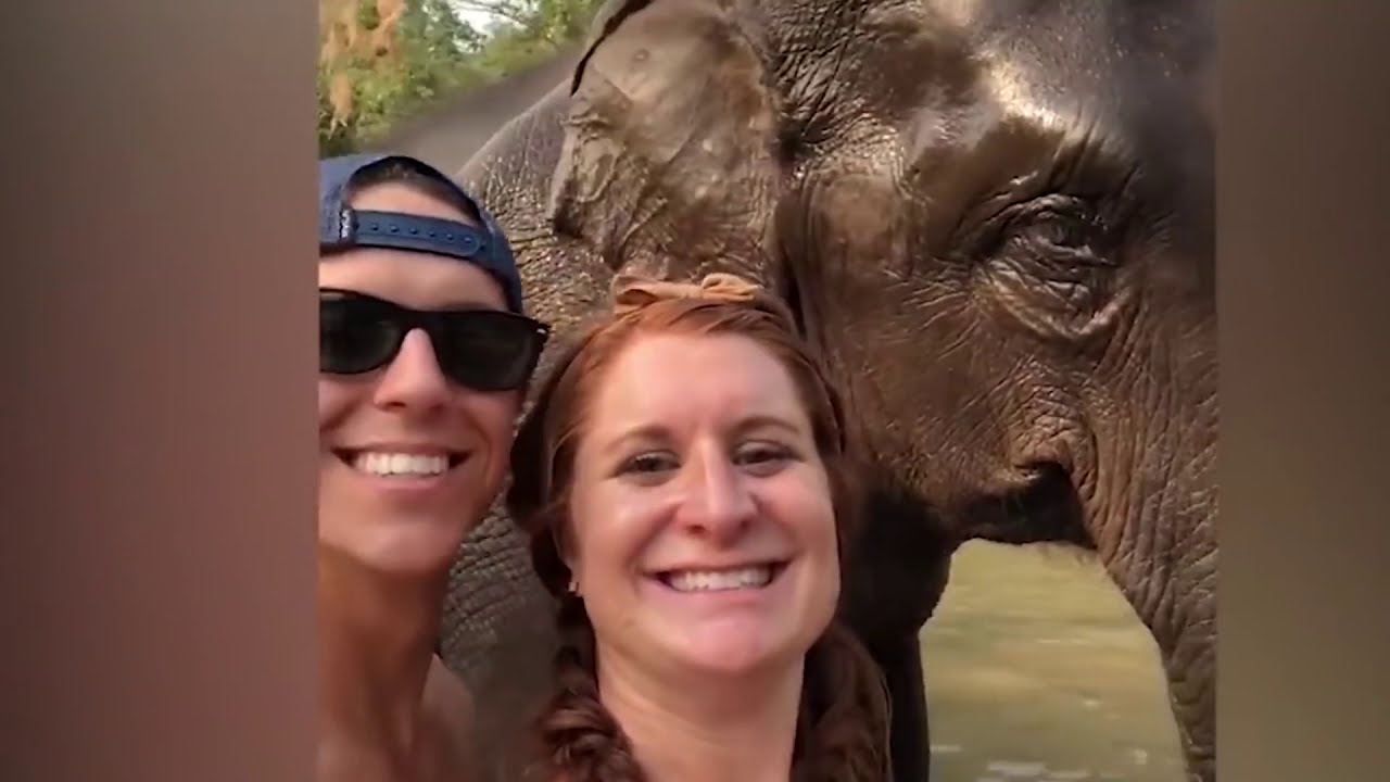 WHAT COULD GO WRONG Say 'OUCH' With Best FAIL in BAD DAY Full HD - YouTube