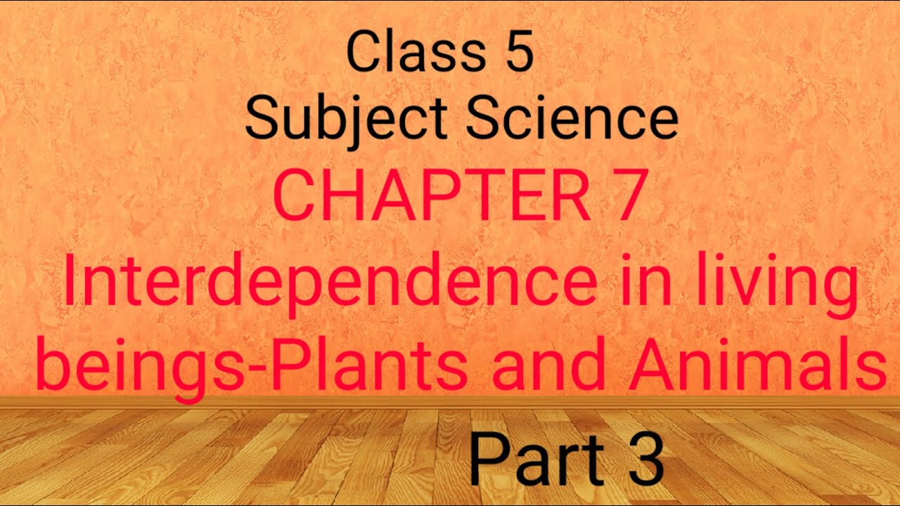 CLASS 5|CHAPTER 7|INTERDEPENDENCE IN LIVING BEINGS PLANTS AND ANIMALS ...