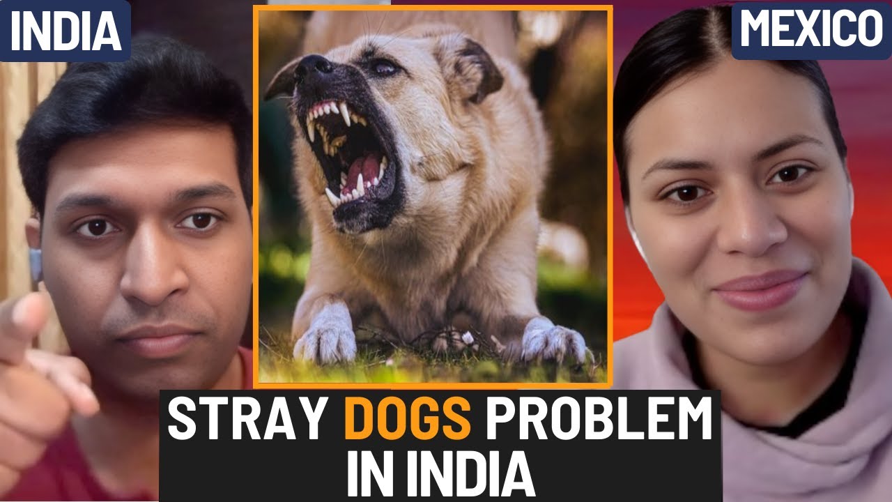 Stray DOGS PROBLEM In India | Wagh Bakri | Cambly Conversation - YouTube