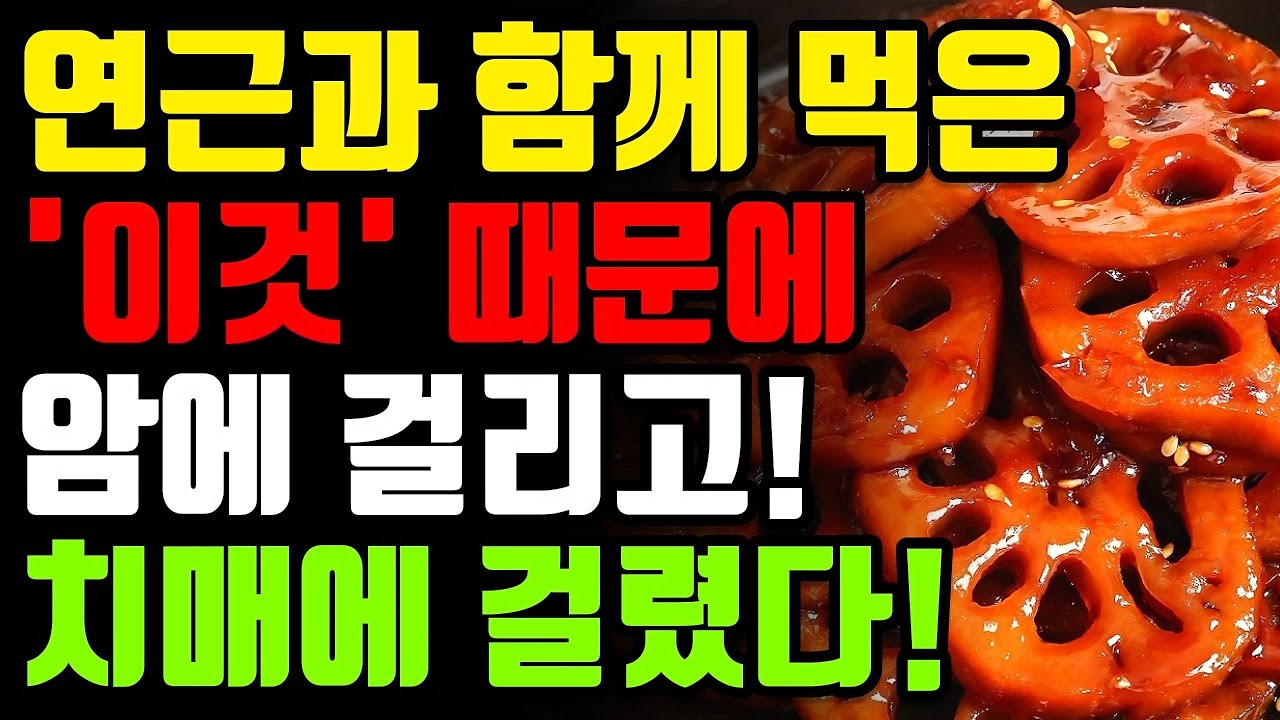 연근과 절대로 함께 먹지마세요 연근 함께 먹으면 보약되는 음식 3가지와 레시피 총정리 값비싼 영양제 대신 이것 드세요