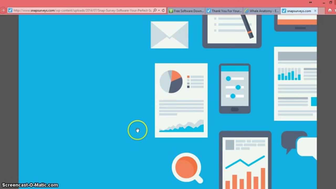 Dori's Software Analysis Video Snap Survey - YouTube