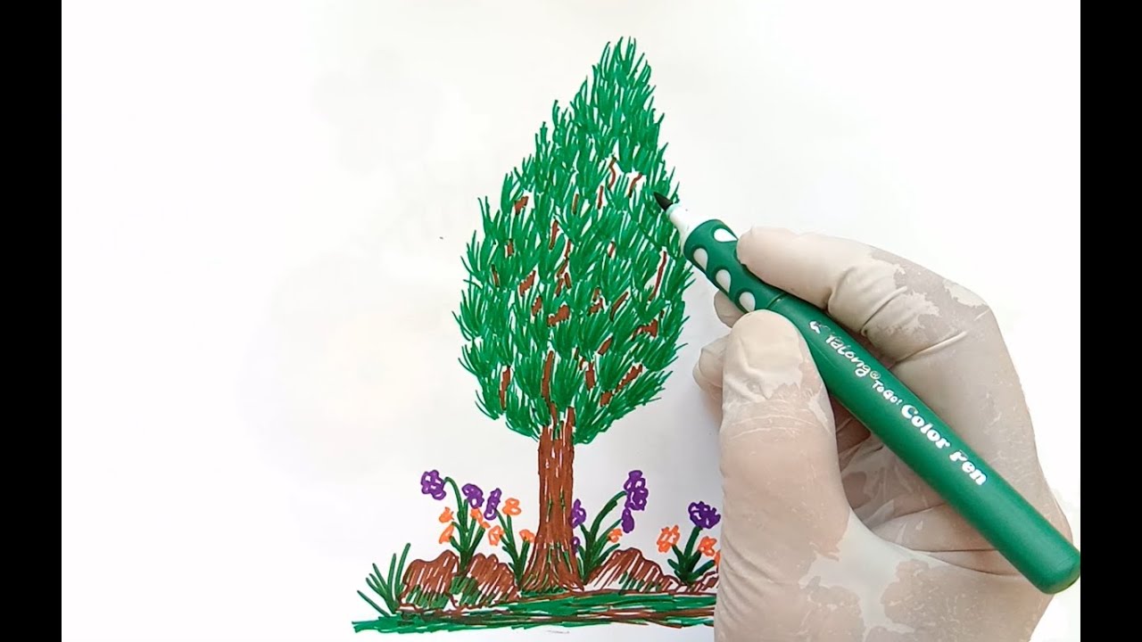 How to draw a simple tree - YouTube