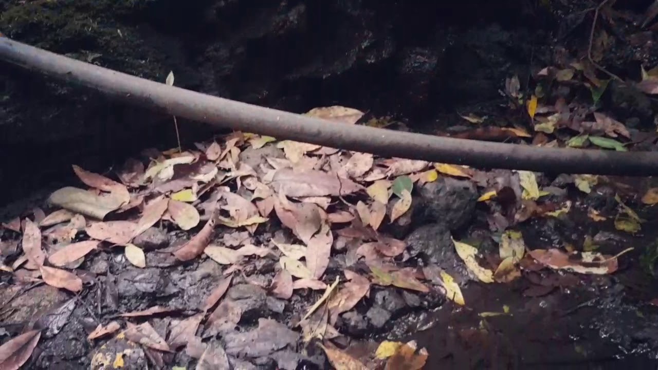 Pure Prana - YouTube