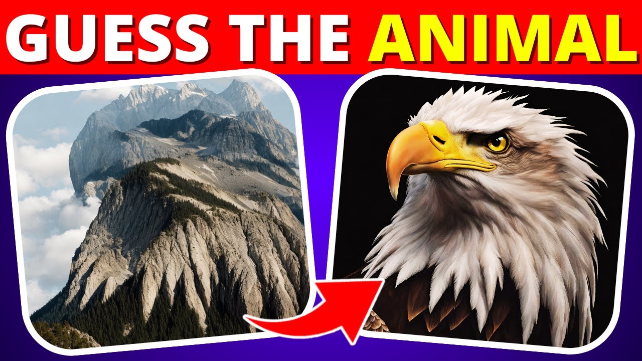 Guess the Hidden ANIMAL by ILLUSION 🦁🐼 Easy, Medium, Hard - YouTube